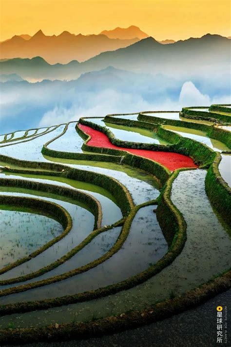 云南红河哈尼梯田