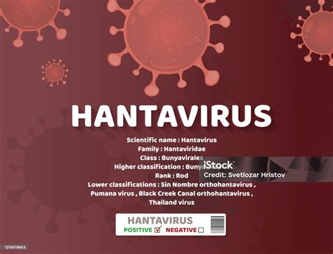 Rare But Deadly Viral Infection Vector Illustration Of The New