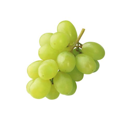 ענבים ענבי טלי פירות וירקות אלבדר