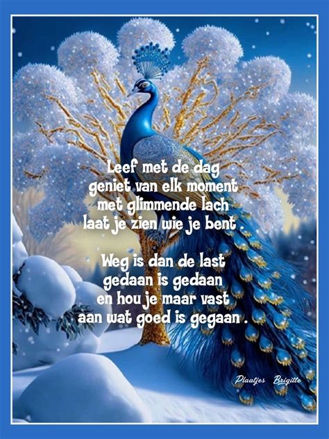 Blue And Gold Peacock In The Snow