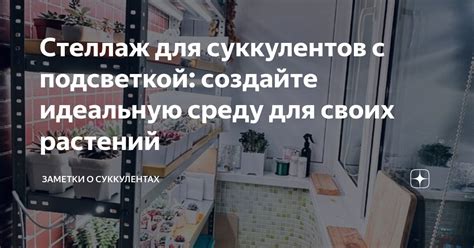 Стеллаж для суккулентов с подсветкой: создайте идеальную среду для ...