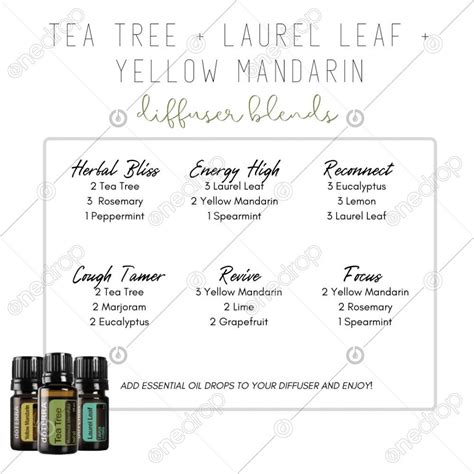 Diffuser Blends Dōterra Tea Tree Laurel Leaf Yellow M By Pixel