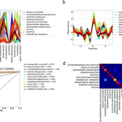 Feature Space Representation And Classification Performances A B