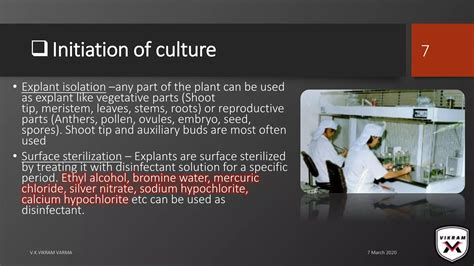 Micropropagation Of Medicinal And Aromatic Plants Clonal Propagation Ppt