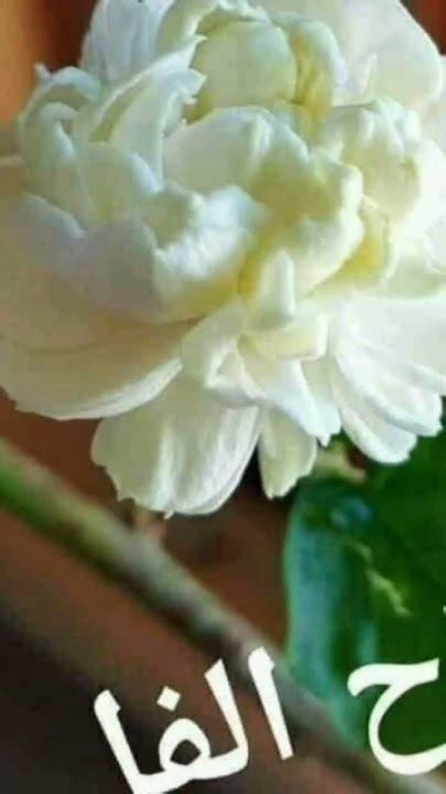 الغيره والحقد Youtube