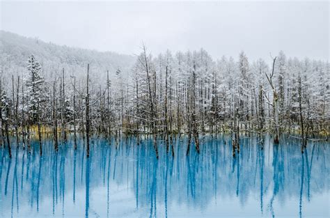 【北海道自由行】不只青池、流冰 一生必去一次北海道4大景點