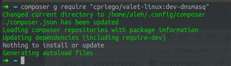 Can T Access The Site When Offline Issue Cpriego Valet Linux GitHub