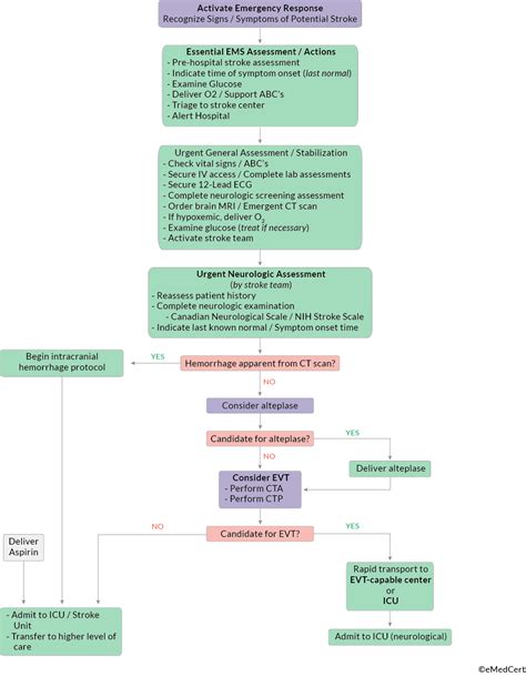 ACLS Algorithms You Need To Know EMedCert Blog