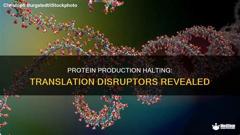 Protein Production Halting Translation Disruptors Revealed Medshun
