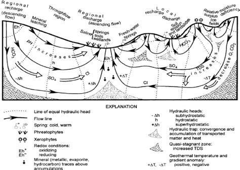 Gravitational Groundwater Flow Systems Depicting Controls Of Download Scientific Diagram