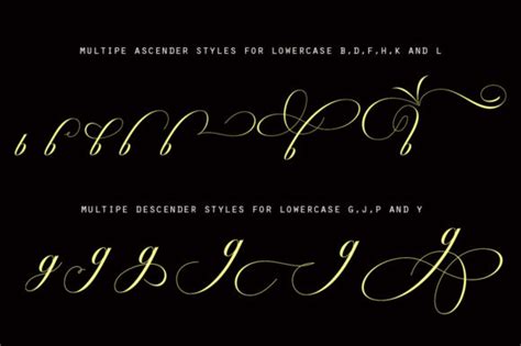 Octagon Calligraphy Font Font Canyon