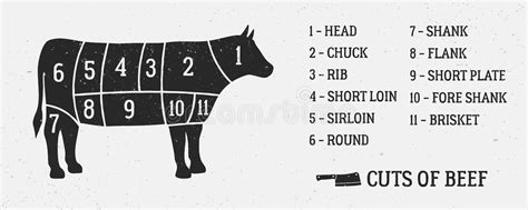 Meat Diagram Cuts Of Meat Lamb Silhouette Isolated On White