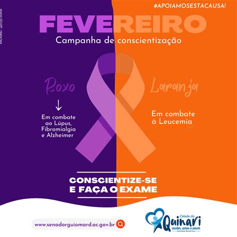 Campanha Fevereiro Roxo E Laranja