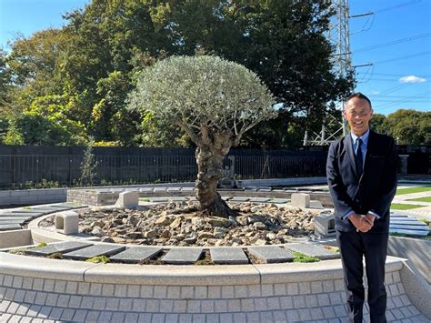 小室に樹木葬公園墓地オリーブGarden船橋全区画永代供養付きで樹木葬にも対応 みんなで船橋を盛り上げる船橋情報サイトMyFunaねっと