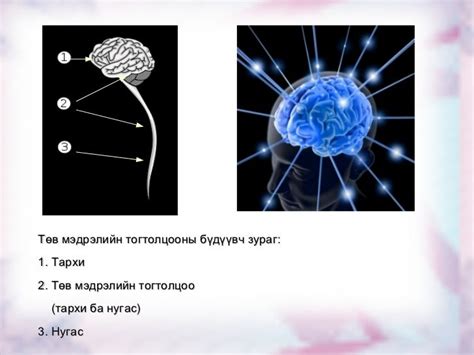 хэрэглэгдэхүүн