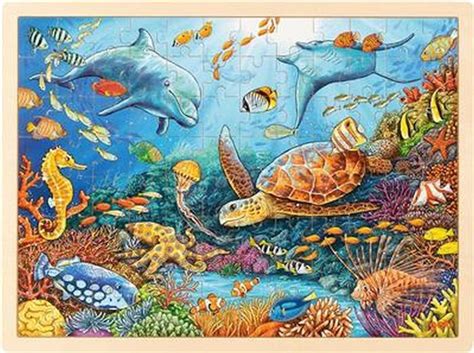 Puzzle La Gran Barrera De Coral Puzzles