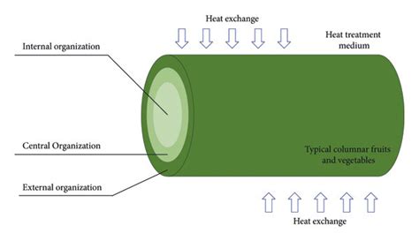 Multilayer Physical Model Of Columnar Fruits And Vegetables Download