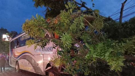 Kumpulan Berita Bus Parawisata Terbaru Dan Terkini