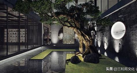陌林香金絲楠木館 每日頭條