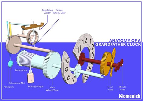 Grandfather Clock Parts Diagram