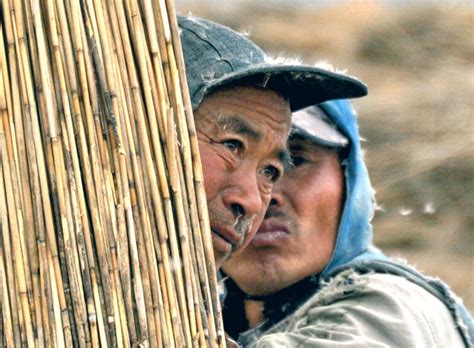 东北最后的“刀客”，零下25度割芦苇，起早贪黑一个月才挣5000 知乎