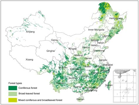 Forests Are Grouped Into Three Types Coniferous Forest Broadleaved Download Scientific