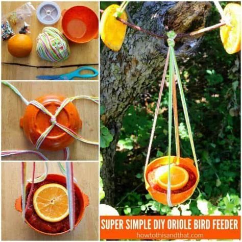 20 Diy Oriole Feeder Plans For Your Garden Diyncrafty