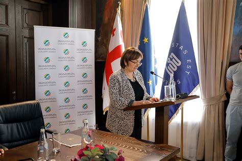 საქართველოს შეხვედრა სემეკ ის წარმომადგენლებთან Facebook