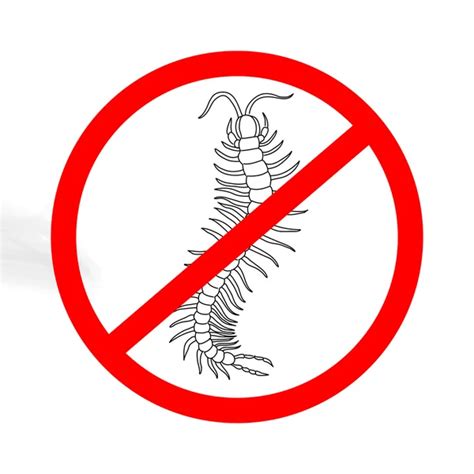 Hand Drawn Centipede Cartoon Insect Icon Vector Stock Vector Image By