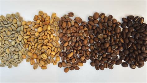 Basics Of Coffee Roasting — Roest