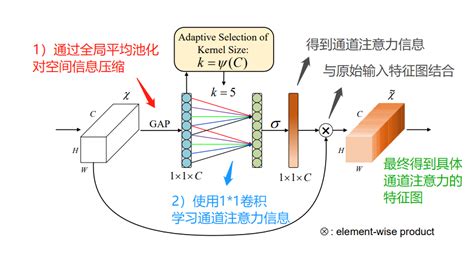 Eca 注意力模块 原理分析与代码实现一颗小树x的博客 Csdn博客eca模块