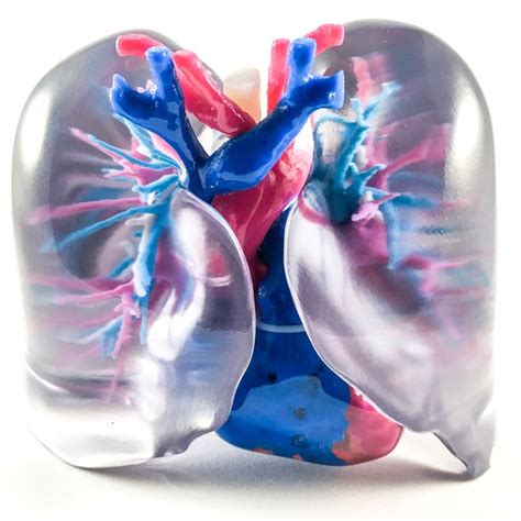 Stanford 3d And Quantitative Imaging Laboratory On Linkedin 3dprinting Healthcare Medicalimaging