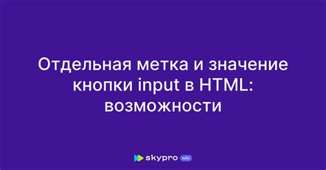 Отдельная метка и значение кнопки input в html возможности