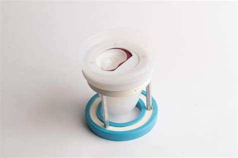 Prolapsed Mitral Valve The Carmosim™ Advanced Archetype Biomedical