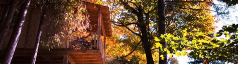 Nos Cabanes Dans Les Arbres Les Cabanes Du Trappeur