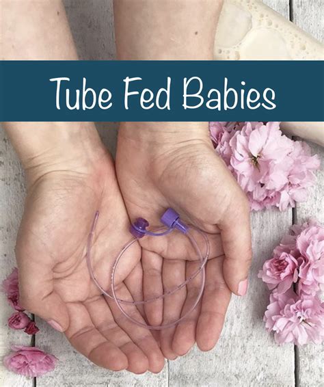 Blenderized Tube Feeding Recipes Artofit