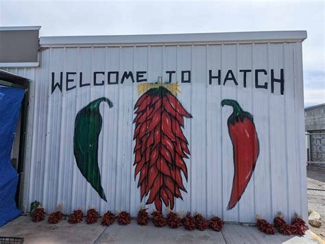 The Hatch Chile Season A Journey Through The Stages Hatch Chile Ristras