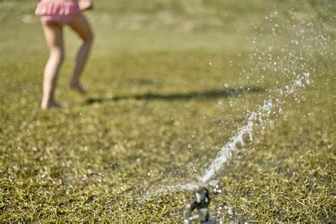 Lawn Care Welcome To Daniels Lawn Service Of Orlando