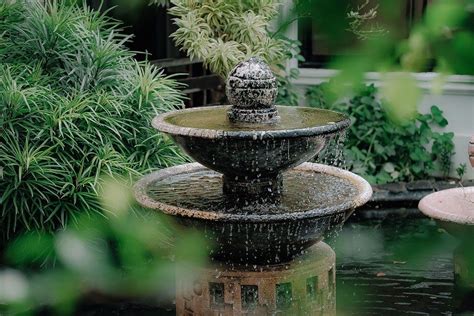 Beneficios De Los Espacios Naturales Para La Salud