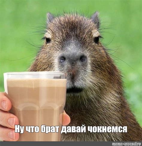 Создать мем капибара мизантроп мемы с капибарами злая капибара