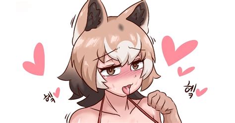 ニューギニアハイランドワイルドドッグけものフレンズ 뉴기니고산개 상추쌈のイラスト Pixiv