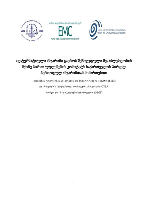 ალტერნატიული ანგარიში გაეროს შეზღუდული შესაძლებლობის მქონე პირთა
