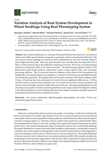 Pdf Variation Analysis Of Root System Development In Wheat Seedlings Using Root Phenotyping System