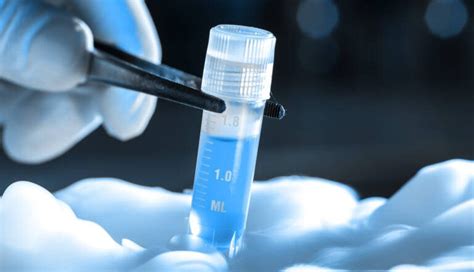 Cryopreservation Of Single Cell Hpscs Using Rock Inhibitors Captivate Bio