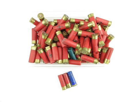 Reloaded 12 Gauge Shot Shell Lot