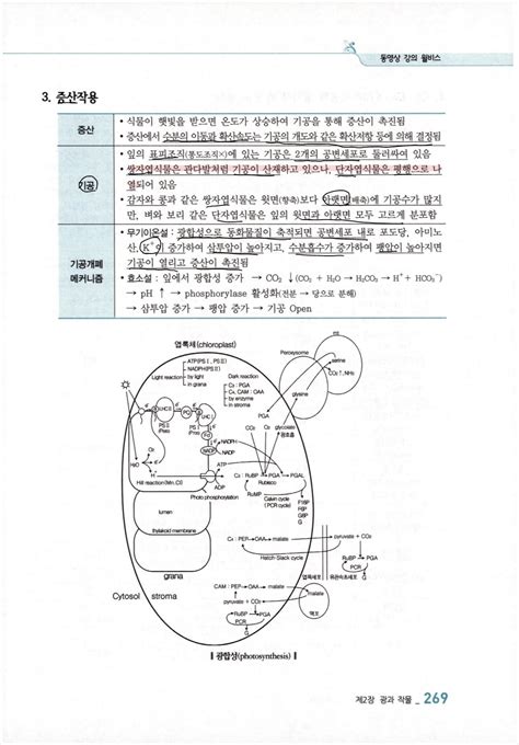 Daum 카페