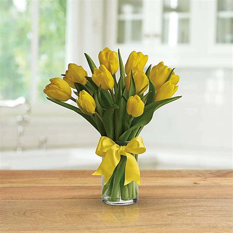 Download Tulip Pictures
