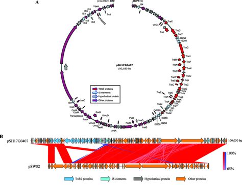 Genomic Characterization Of The T4ss Bearing Incfiis Type Plasmid