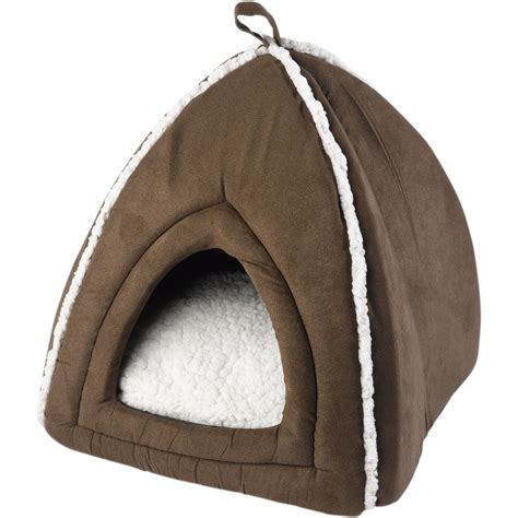 Cat Igloo March 2017