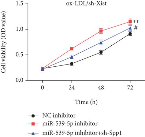 Xistmir 539 5pspp1 Axis On The Proliferation Migration And Invasion
